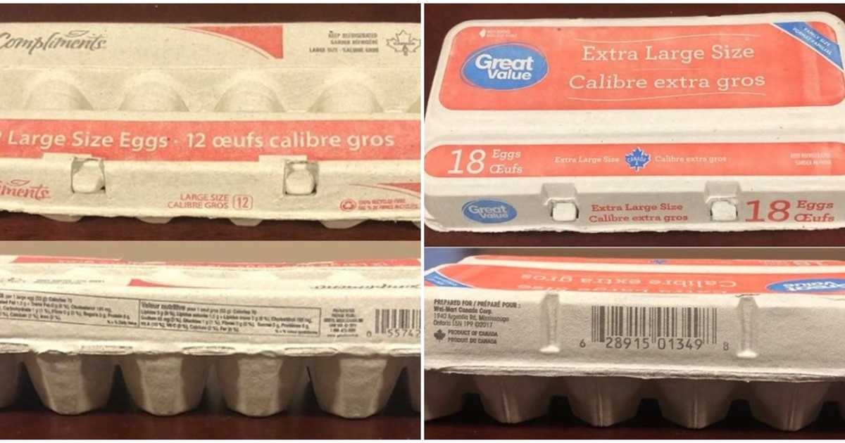 سالمونلا به تخم‌مرغ رسيد - خبر کانادا